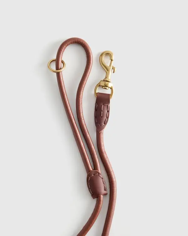 Quince Rolled Italian Leather Dog Leash