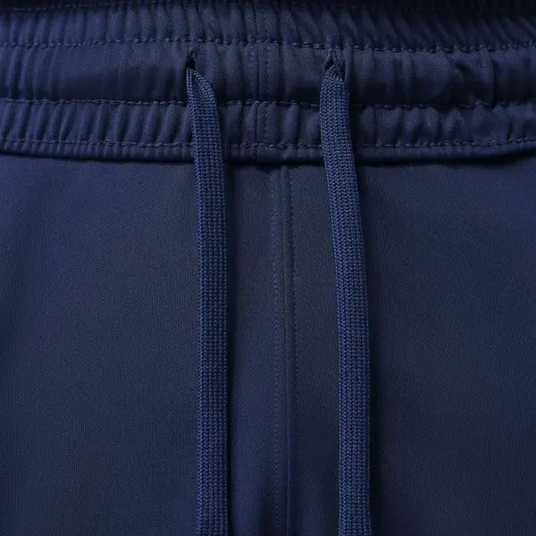 JORDAN Sport Dri-fit Y2k Shorts