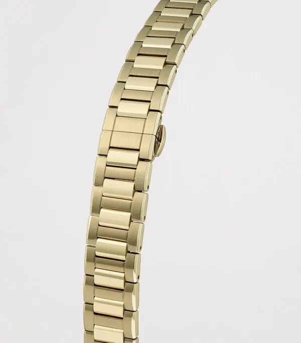 VIVIENNE WESTWOOD Stainless Steel Berwick Watch