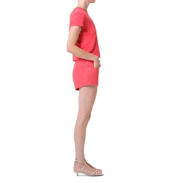 AGOLDE Parker Low Rise Denim Shorts