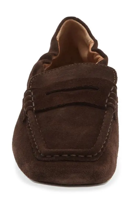 Cordani Arlie Penny Loafer - Camoscio Pepe