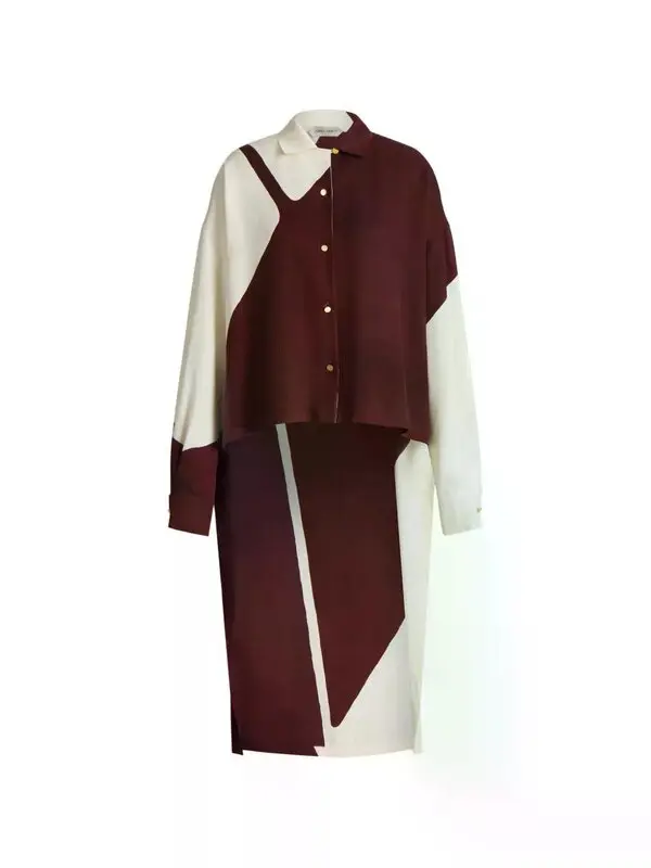 Alberta Ferretti Color-block Shirt - Brown