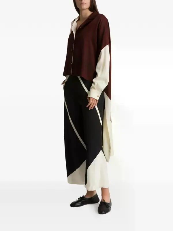 Alberta Ferretti Color-block Shirt - Brown