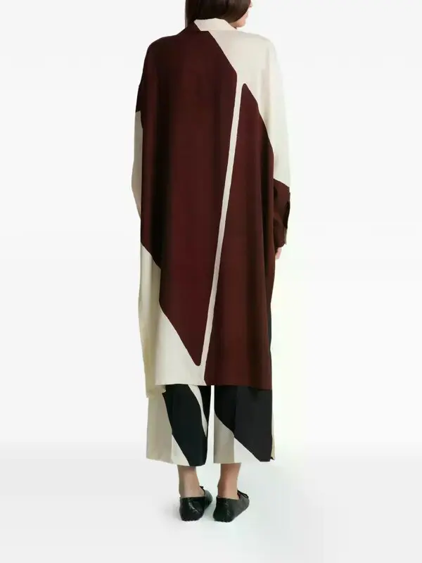 Alberta Ferretti Color-block Shirt - Brown