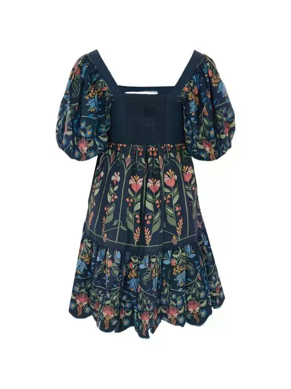 Farm Rio Floral Embroidered Mini Dress - Blue