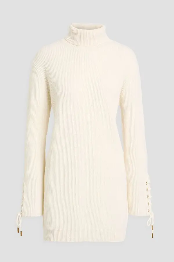 Max Mara Ghinea Ribbed Wool And Cashmere-blend Turtleneck Mini Dress - Ivory