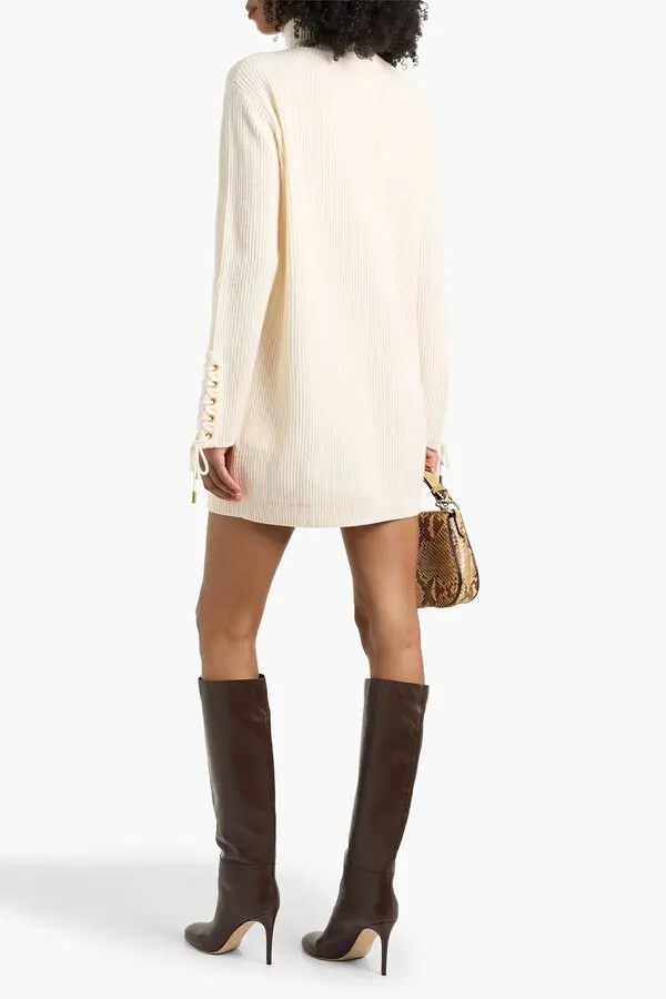 Max Mara Ghinea Ribbed Wool And Cashmere-blend Turtleneck Mini Dress - Ivory