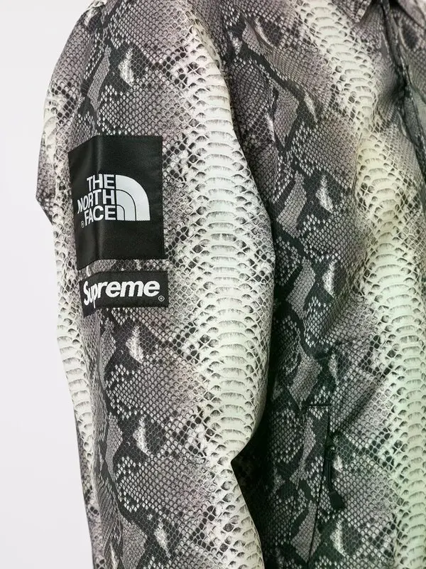 Supreme X The North Face Snakeskin-print Jacket