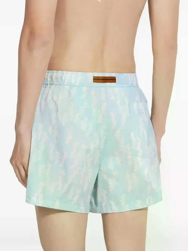 Zegna Printed Swim Shorts - Blue