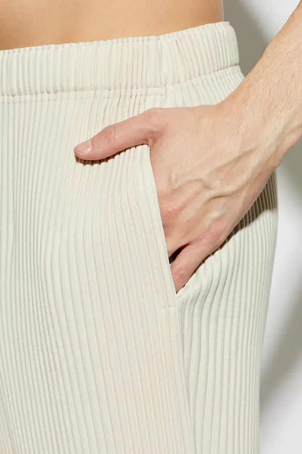 Issey Miyake Pleated Trousers