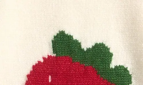 FURB Strawberry Fields Pet Sweater
