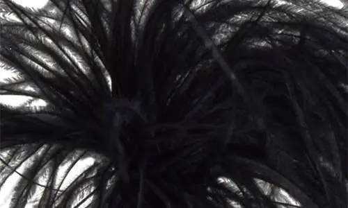 GIGI BURRIS MILLINERY Gwynnie Feather Headband