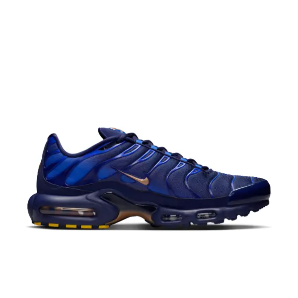 Nike Air Max Plus Og "fff" Shoes - Blue