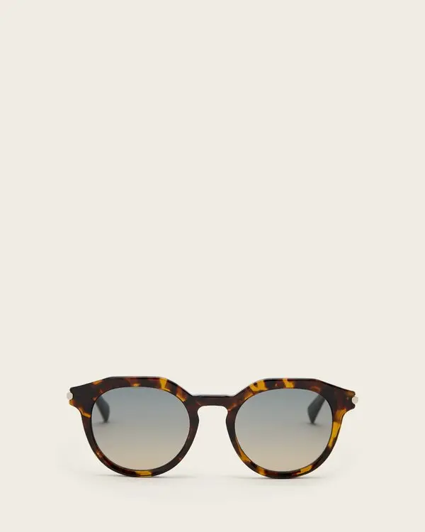 ALLSAINTS Van Panto Sunglasses - Dark Tort