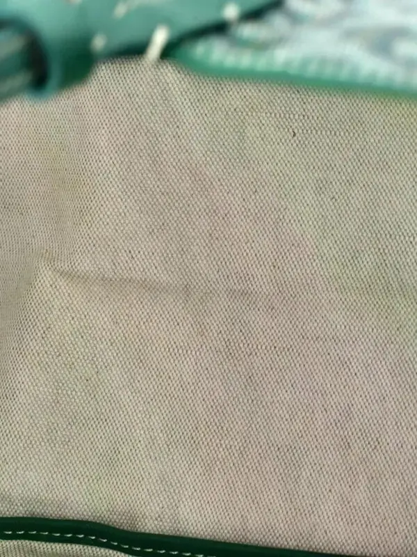 Goyard Saint Louis Coated Canvas Pm Tote Bag - Green
