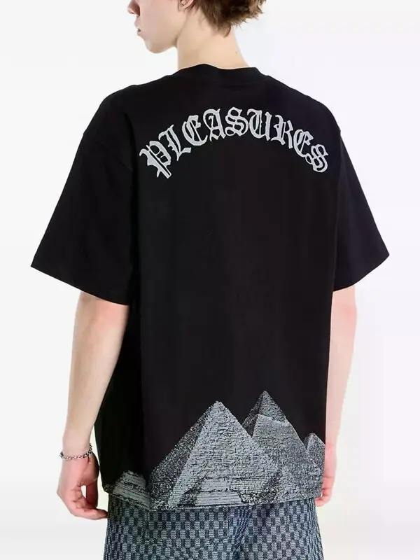 PLEASURES Elevation Heavyweight T-shirt
