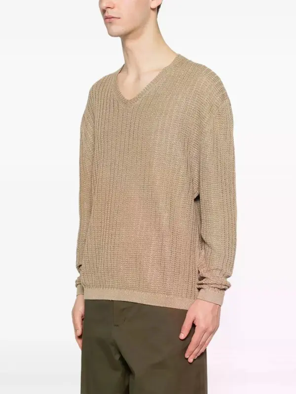 CARTER YOUNG V-neck Long Sleeve Sweater