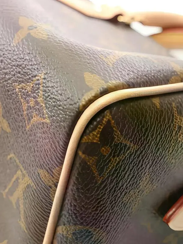 LOUIS VUITTON 2021 Monogram Tote Bag