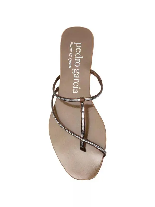 PEDRO GARCIA Embellished T-strap Flat Sandals - Brown