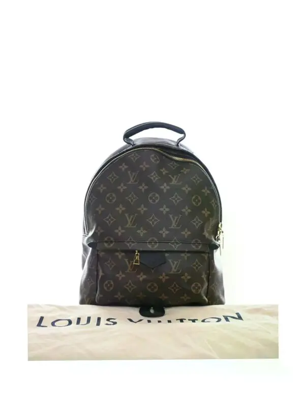 LOUIS VUITTON Monogram Palm Springs Mm Backpack