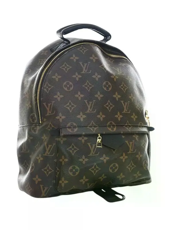 LOUIS VUITTON Monogram Palm Springs Mm Backpack