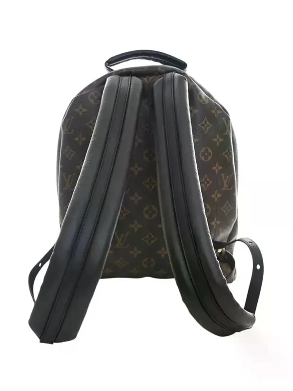 LOUIS VUITTON Monogram Palm Springs Mm Backpack