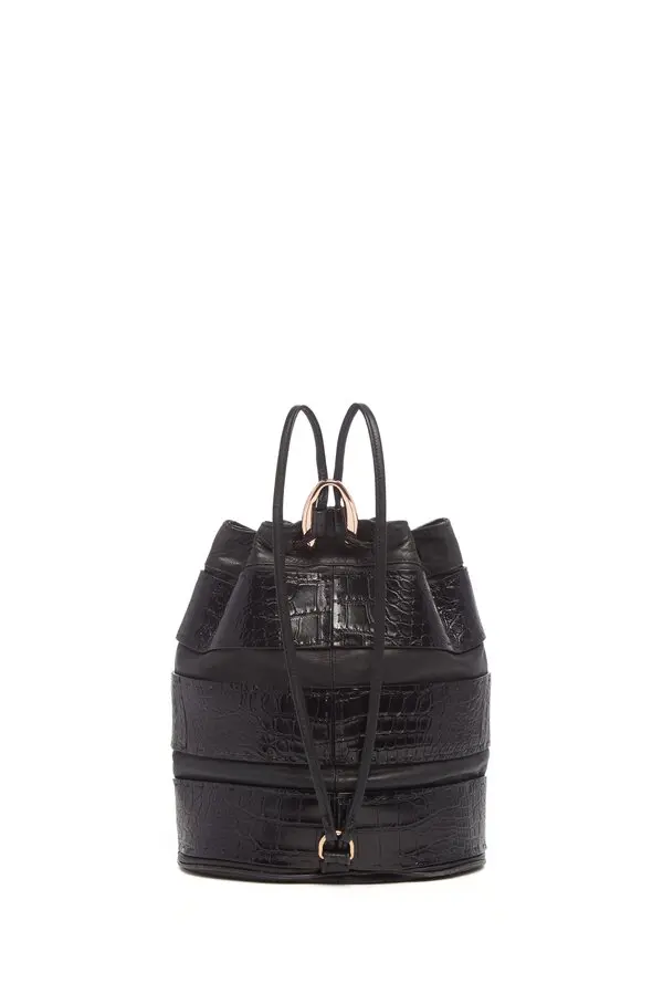 Gabriela Hearst Nappa And Crocodile Leather Backpack