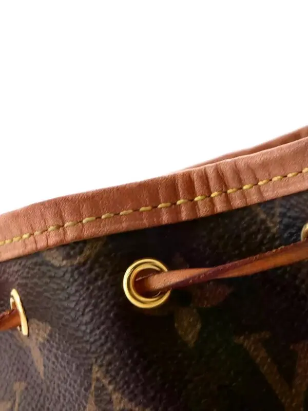 LOUIS VUITTON Noe Handbag Monogram Canvas Nano Bucket Bag