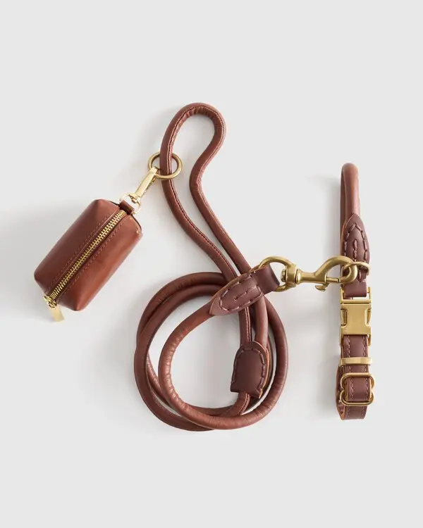 Quince Italian Leather Dog Walk Kit - Brown