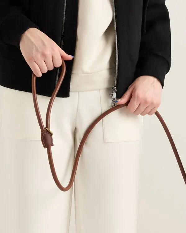 Quince Italian Leather Dog Harness Walk Kit