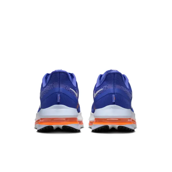 Nike Pegasus Premium Road Running Shoes - Blue