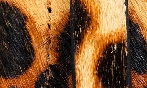 PLEASURES X Zero Skateboards Calf Hair Belt - Leopard