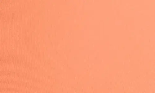 Spanx Active 4-inch Shorts - Persimmon