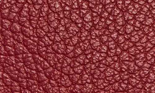 Shinola Canfield Essential Id Pebble Leather Card Holder - Ruby