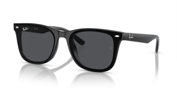 Ray-ban Sunglasses - Noir