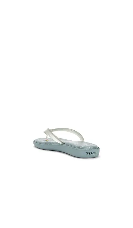 COACH Jelly Flip Flop Sandal