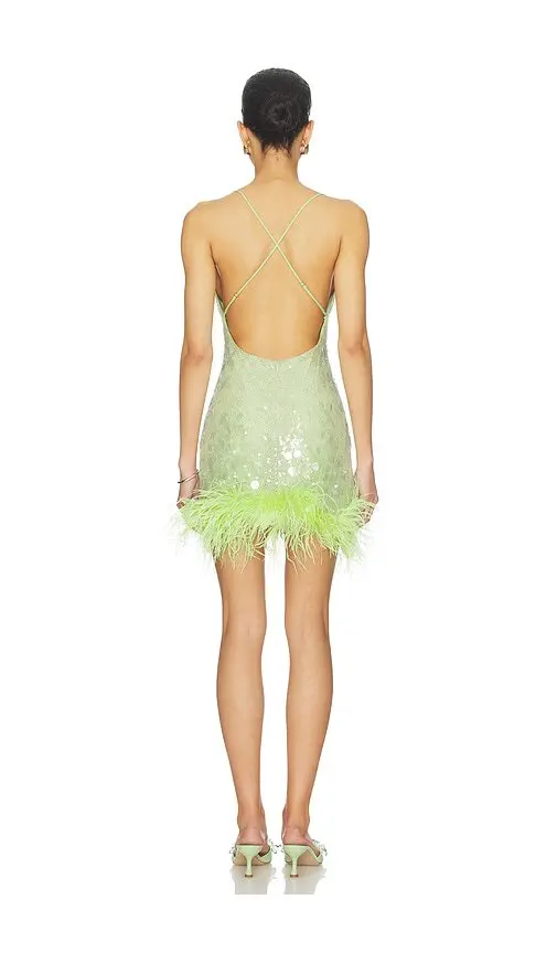 Delfi Sequin Embellished Feather Trim Mini Dress