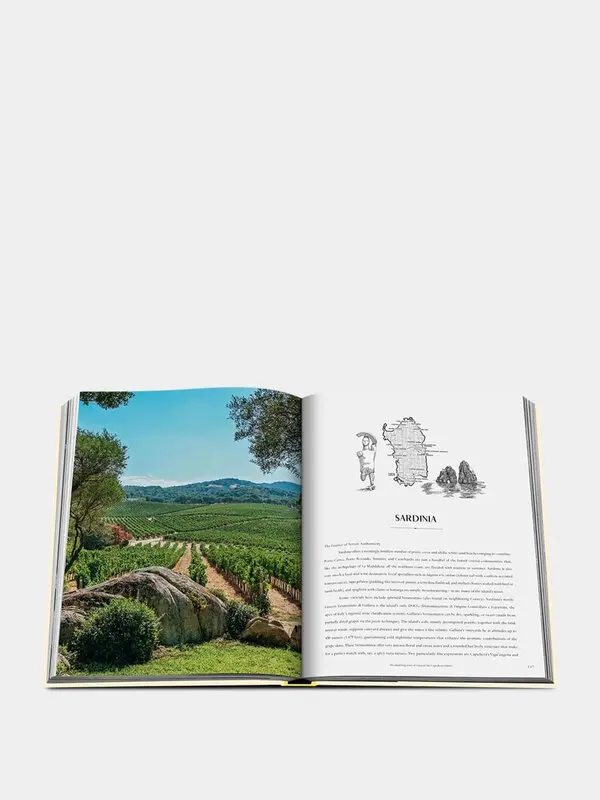 Assouline Wine & Travel Mediterranean Islands Book - Yellow