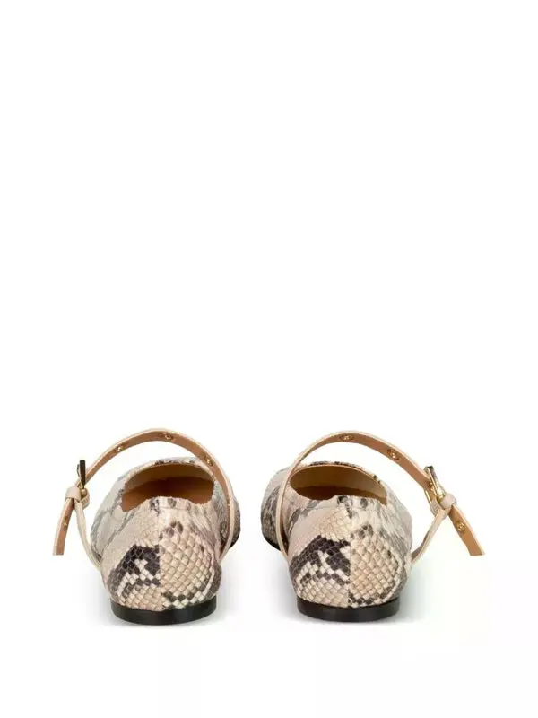 Status Reptile Buckle Ballet Flats