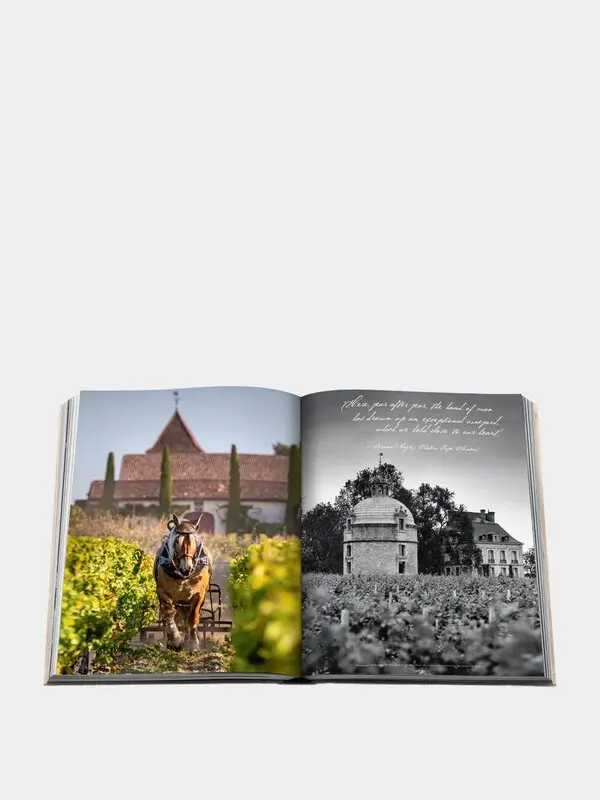 Assouline Wine & Travel France - Orange