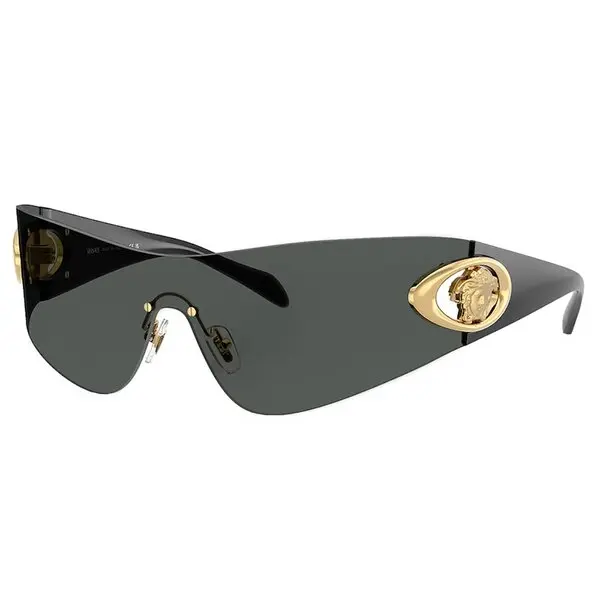 Versace Shield Sunglasses - Dark Grey (ve_2280_100287_42mm)