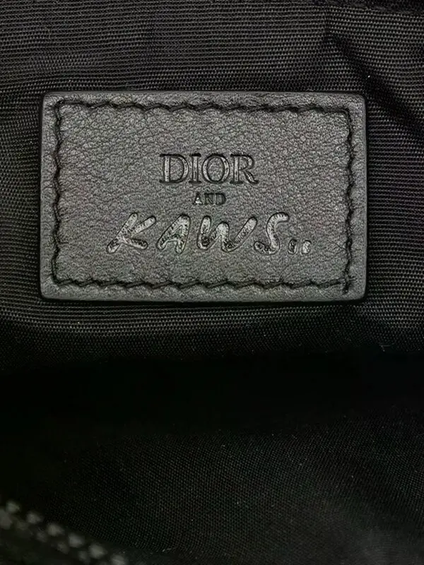 Dior 2019 Kaws Bee Pouch