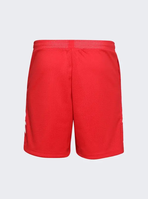 WARREN LOTAS Serenity Mesh Shorts