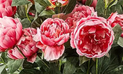 MACKENZIE-CHILDS Peony Urn Filler