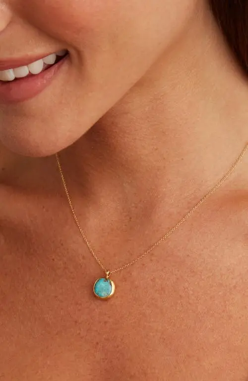 Chan Luu Sardinia Pendant Necklace