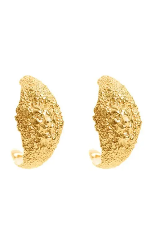 FREYA ROSE Lion Hoop Earrings - Gold
