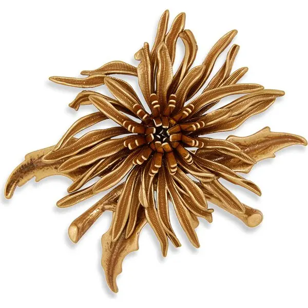 Cult Gaia Octavia Brooch - Antique Brass