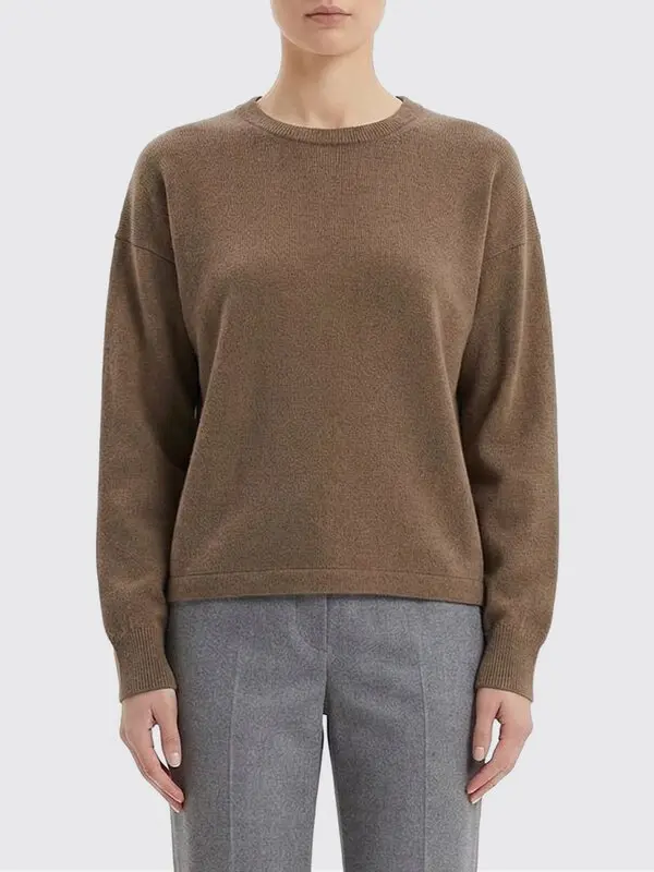 Max Mara Virgin Wool And Cashmere Crew-neck Pullover - Brown