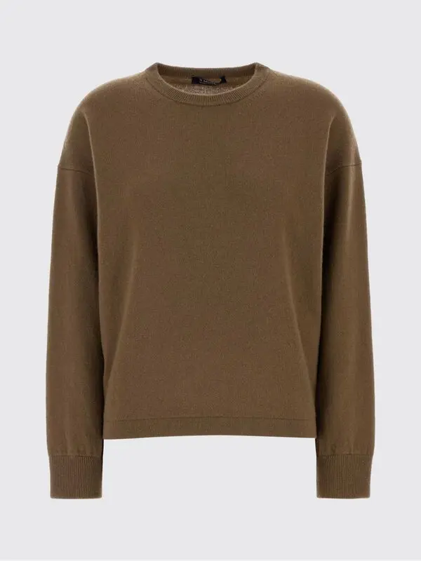Max Mara Virgin Wool And Cashmere Crew-neck Pullover - Brown