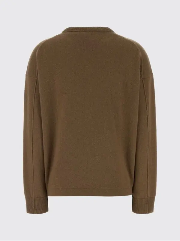 Max Mara Virgin Wool And Cashmere Crew-neck Pullover - Brown